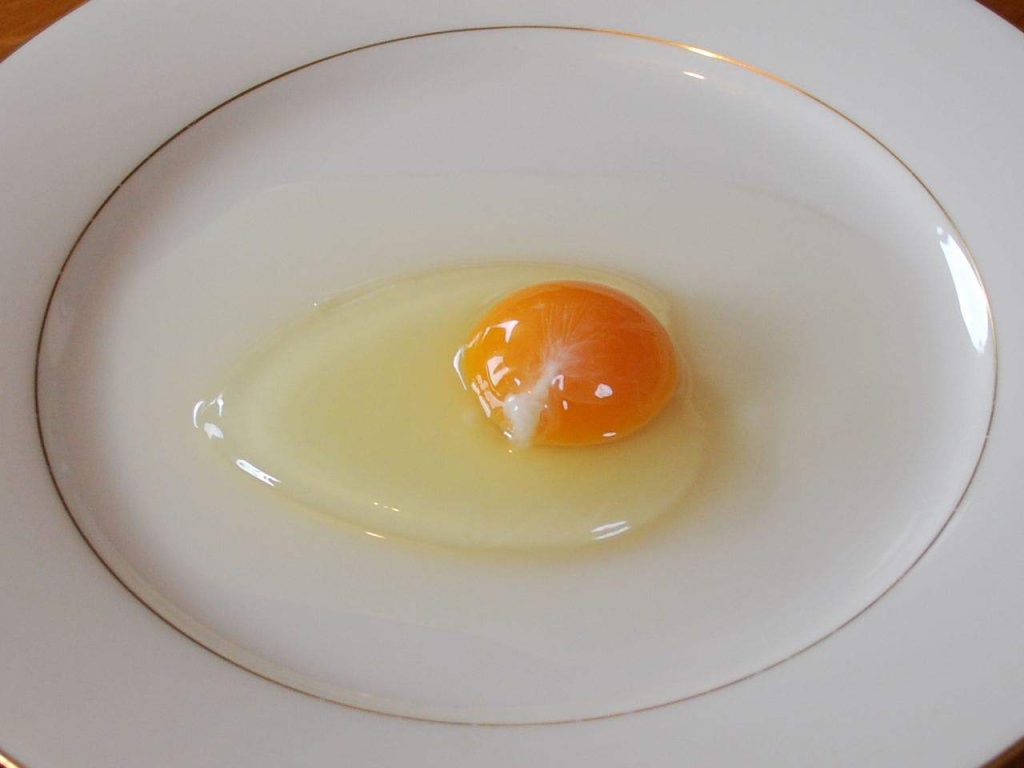 Is Your Egg Quality Affecting Your Fertility? 7 Signs You Need to Know ...