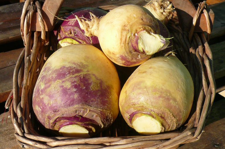 The Underrated Swede (Rutabaga): From Root to Table: Nutrition, Flavor ...