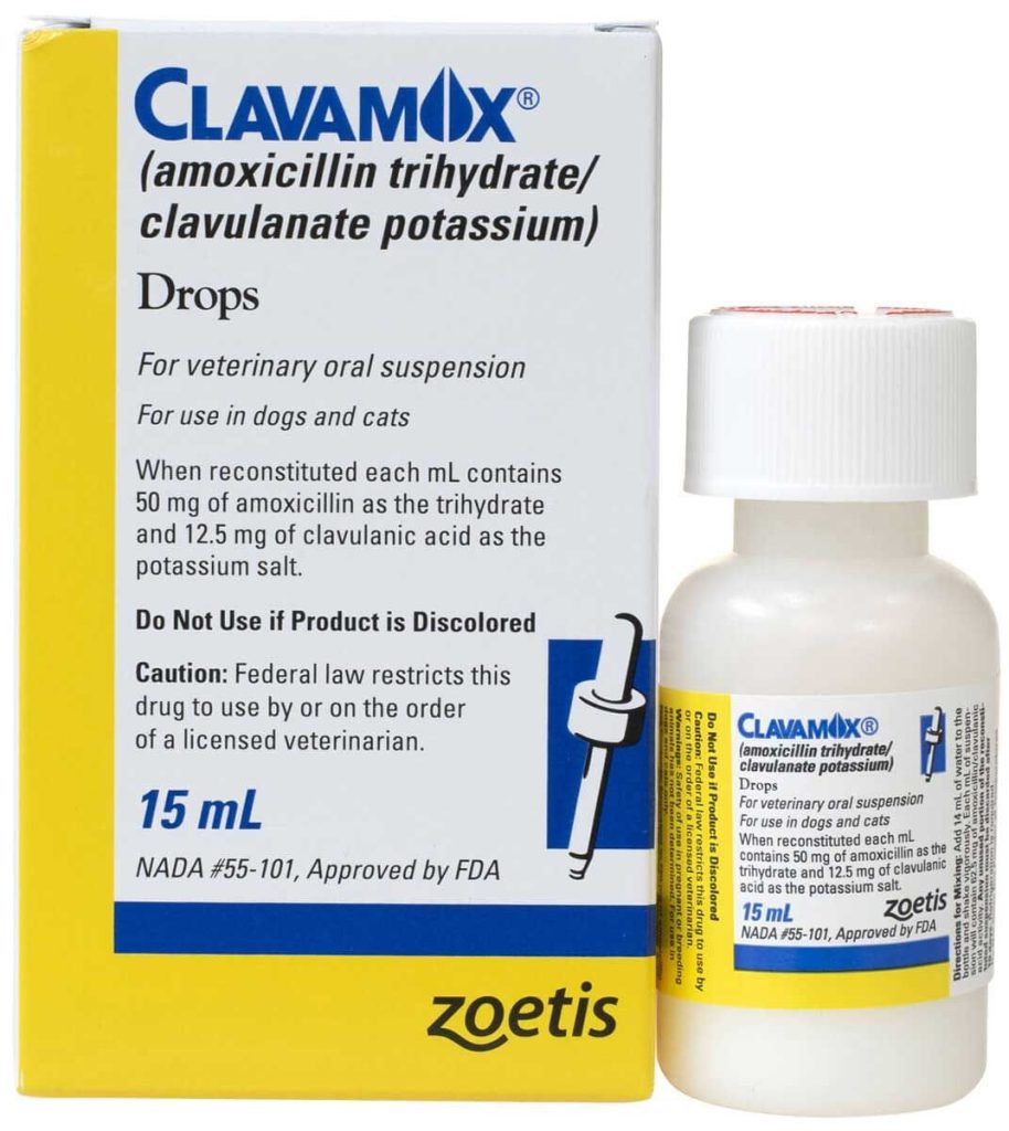 Clavacillin for Dogs and Cats: A Vet's Guide to Dosage, Side Effects ...