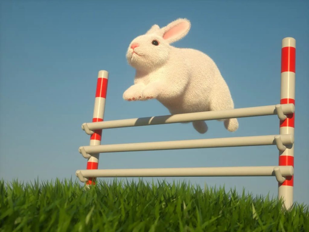 How High Can Rabbits Jump? Protecting Your Bunny & Understanding Their ...
