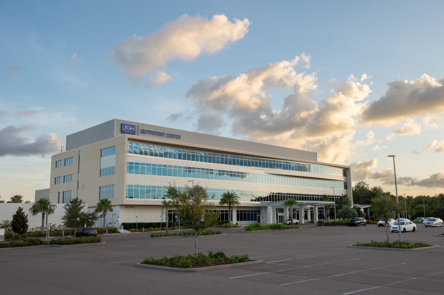 TGH Brandon Healthplex: Your Comprehensive Guide to Services & Care ...