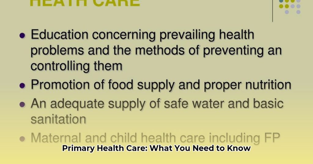 Understanding the Essential Elements of Primary Health Care - Chaztin