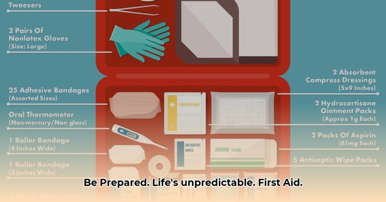 Essential First Aid Kit Checklist: What You Need & Why - Chaztin