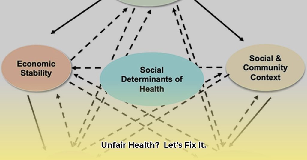 Understanding Health Disparities and Social Determinants of Health ...