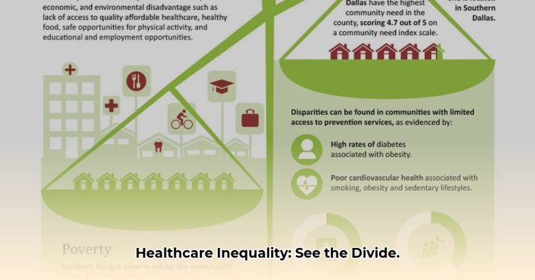 Visualizing Health Disparities: Infographics on Healthcare Inequality ...