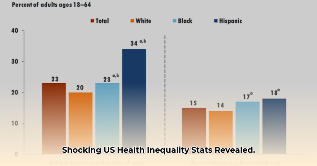 Health Disparities Statistics: A Data-Driven Look at Health Inequities ...