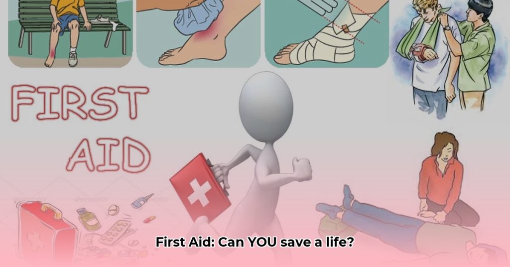 The Importance of First Aid: Life-Saving Skills for Everyone - Chaztin