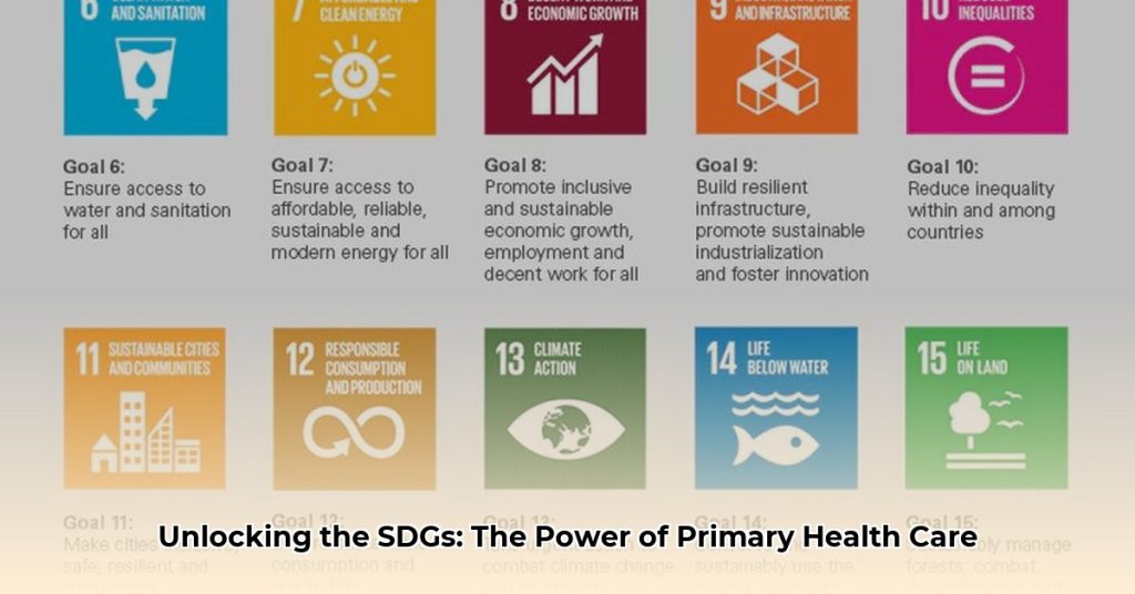 Primary Health Care: A Vital Strategy for Achieving the Sustainable ...