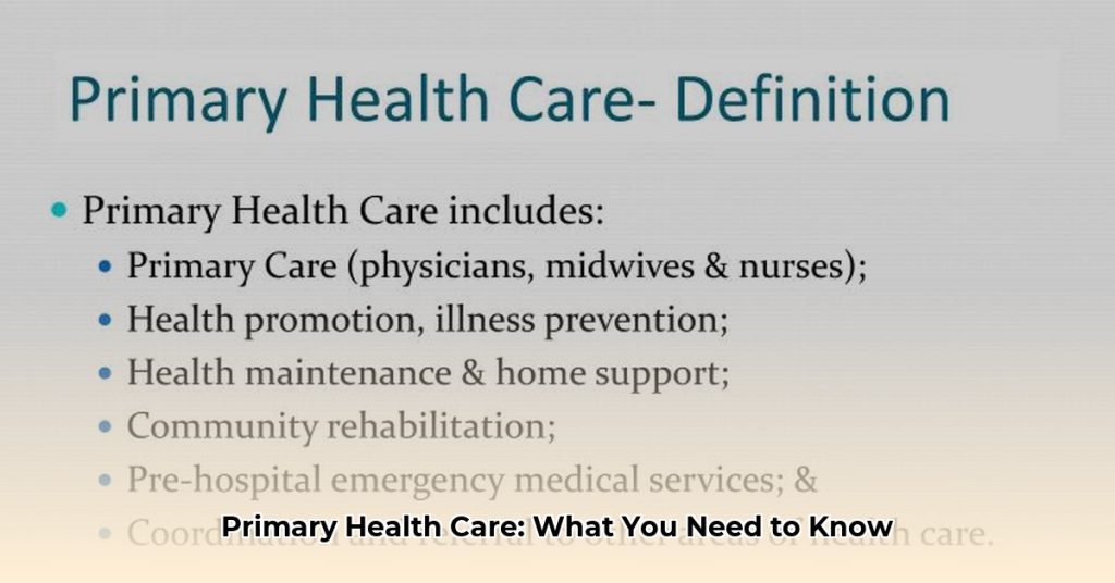 What is Primary Health Care? A Comprehensive Guide - Chaztin