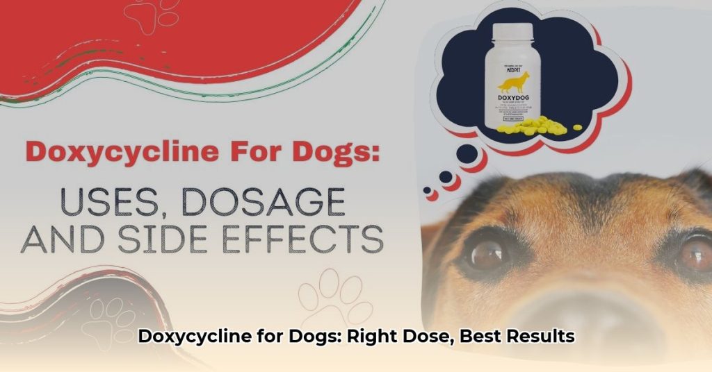 Doxycycline Dosage Chart for Dogs - Chaztin