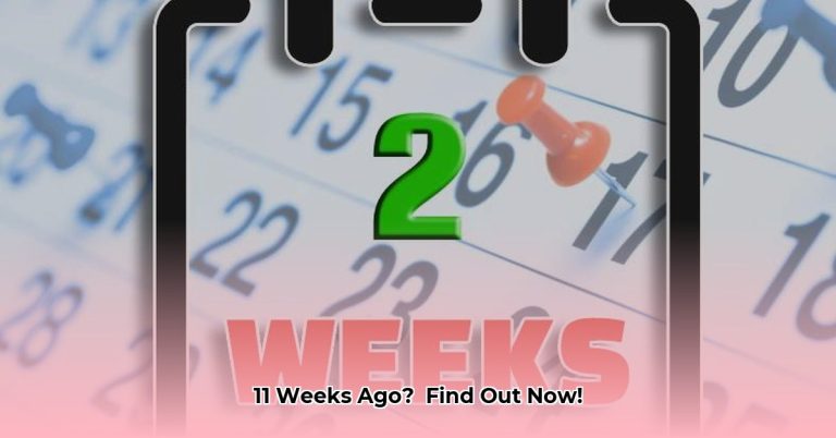What Date Was It 11 Weeks Ago? - Chaztin
