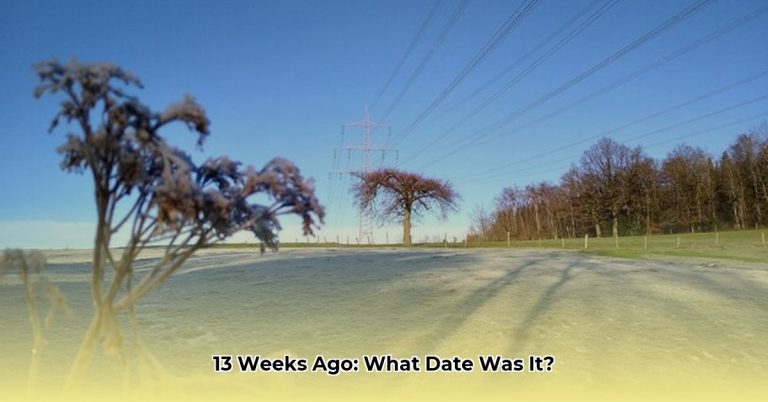 What Date Was 13 Weeks Ago? — Instant Calculator & Date Facts - Chaztin