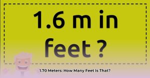 1.70 Meters to Feet Conversion - Chaztin