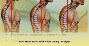 How Much Does a Human Head Weigh? (Facts & Figures) - Chaztin