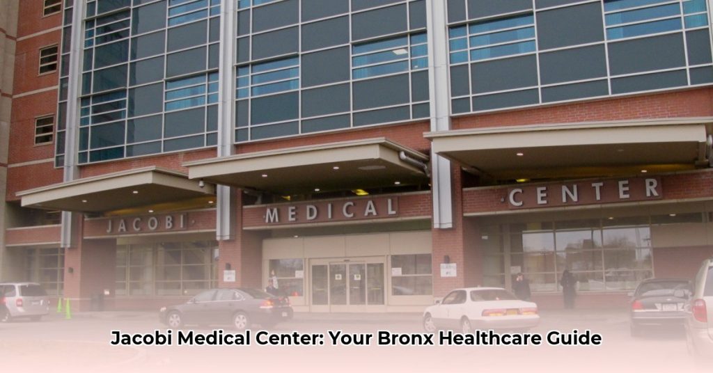 Jacobi Medical Center in the Bronx: Your Guide to Services, Departments ...