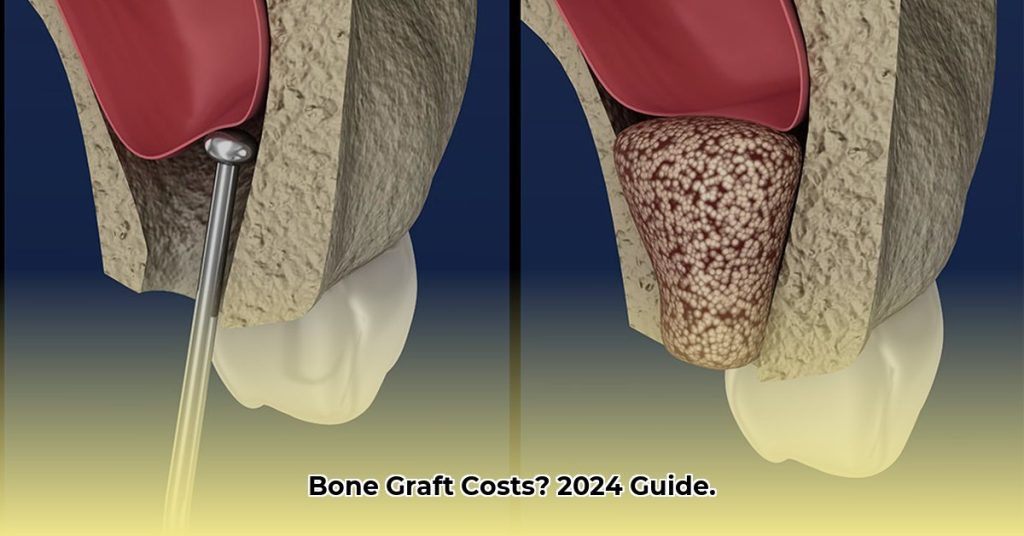 Understanding Dental Bone Graft Costs: Types, Factors, and 2024 Pricing ...