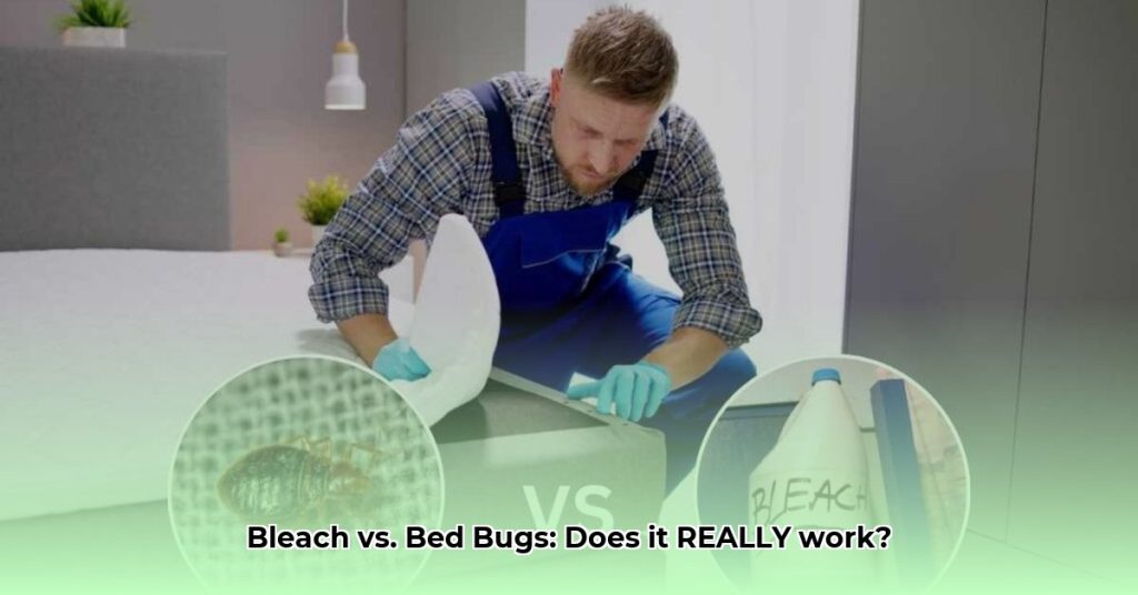 Does Bleach Kill Bed Bugs? Fact vs. Fiction - Chaztin