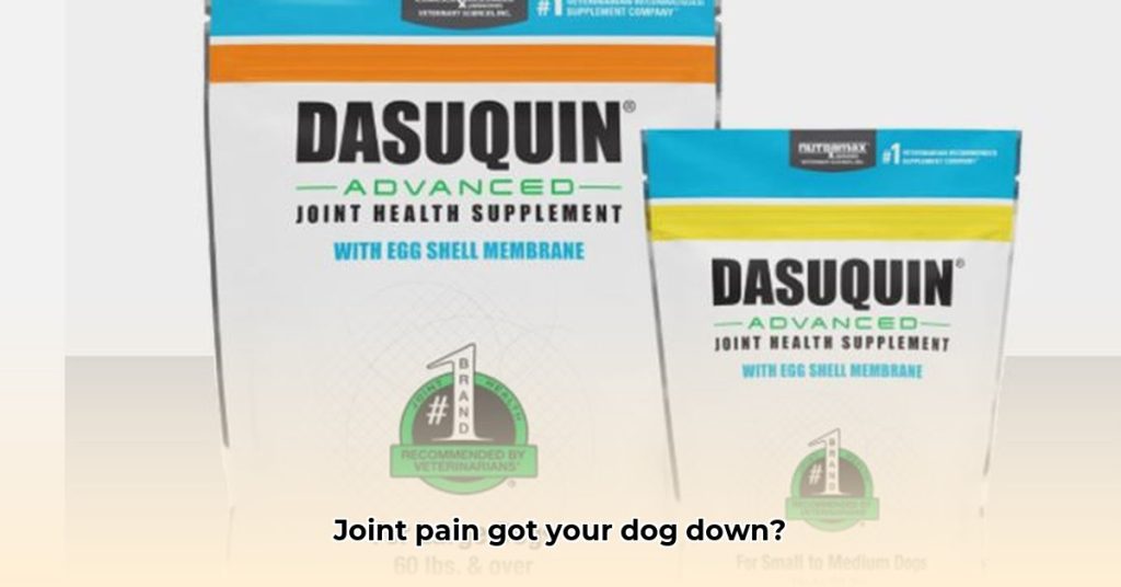 Dasuquin Advanced with Egg Shell Membrane: Joint Relief for Dogs - Chaztin