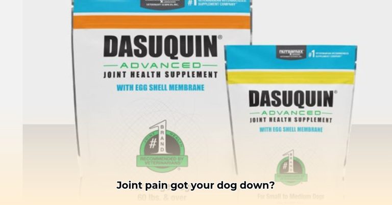 Dasuquin Advanced with Egg Shell Membrane: Joint Relief for Dogs - Chaztin