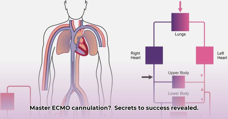 Master ECMO Cannulation: Best Practices for Success - Chaztin