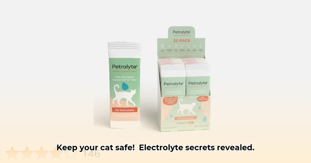 Safe Electrolytes for Cats: Guide & Vet Advice - Chaztin