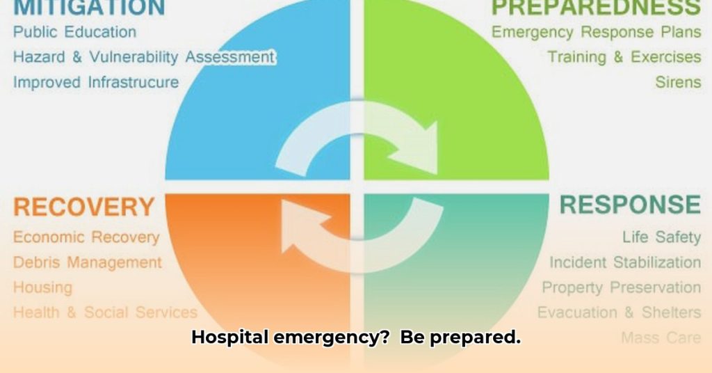 Emergency Operations Plan: Hospital Preparedness Guide - Chaztin