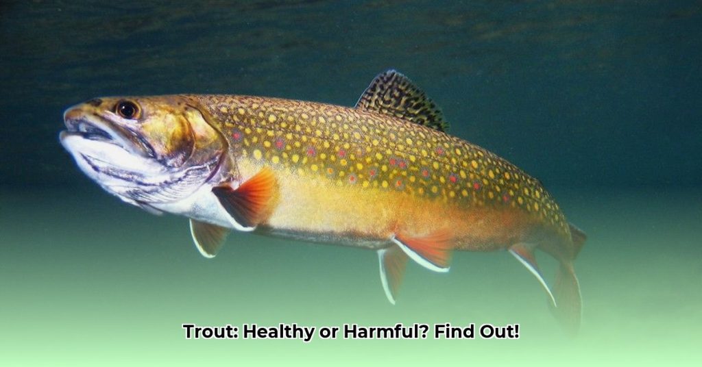 Is Trout Healthy to Eat? Nutrition Facts & Risks Revealed - Chaztin
