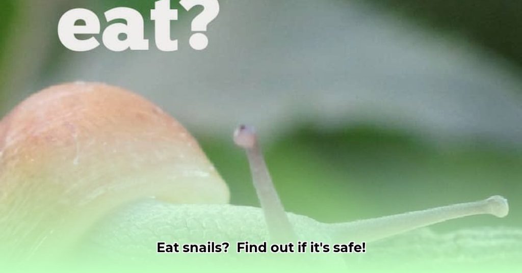 Are Snails Healthy to Eat? Safe Cooking Guide & Nutrition Facts - Chaztin